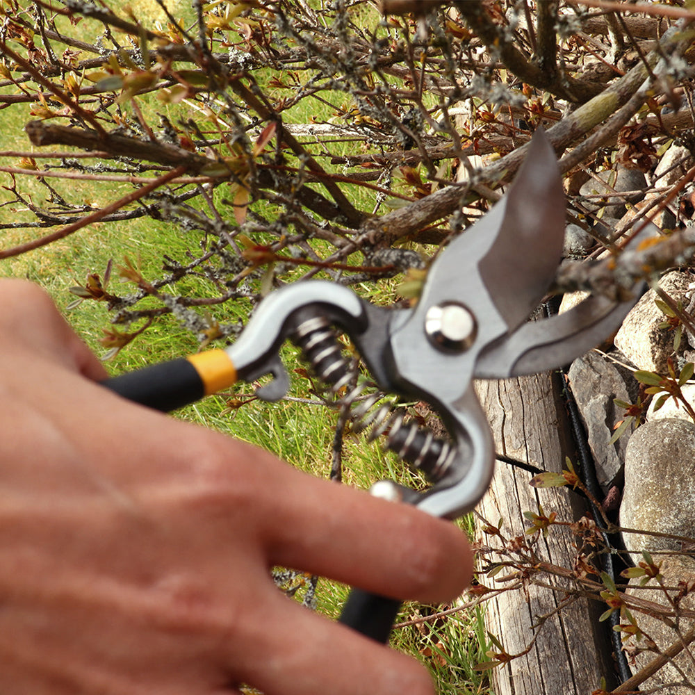 8 Inch Hand Pruners for the professional Gardener – Anytime Garden